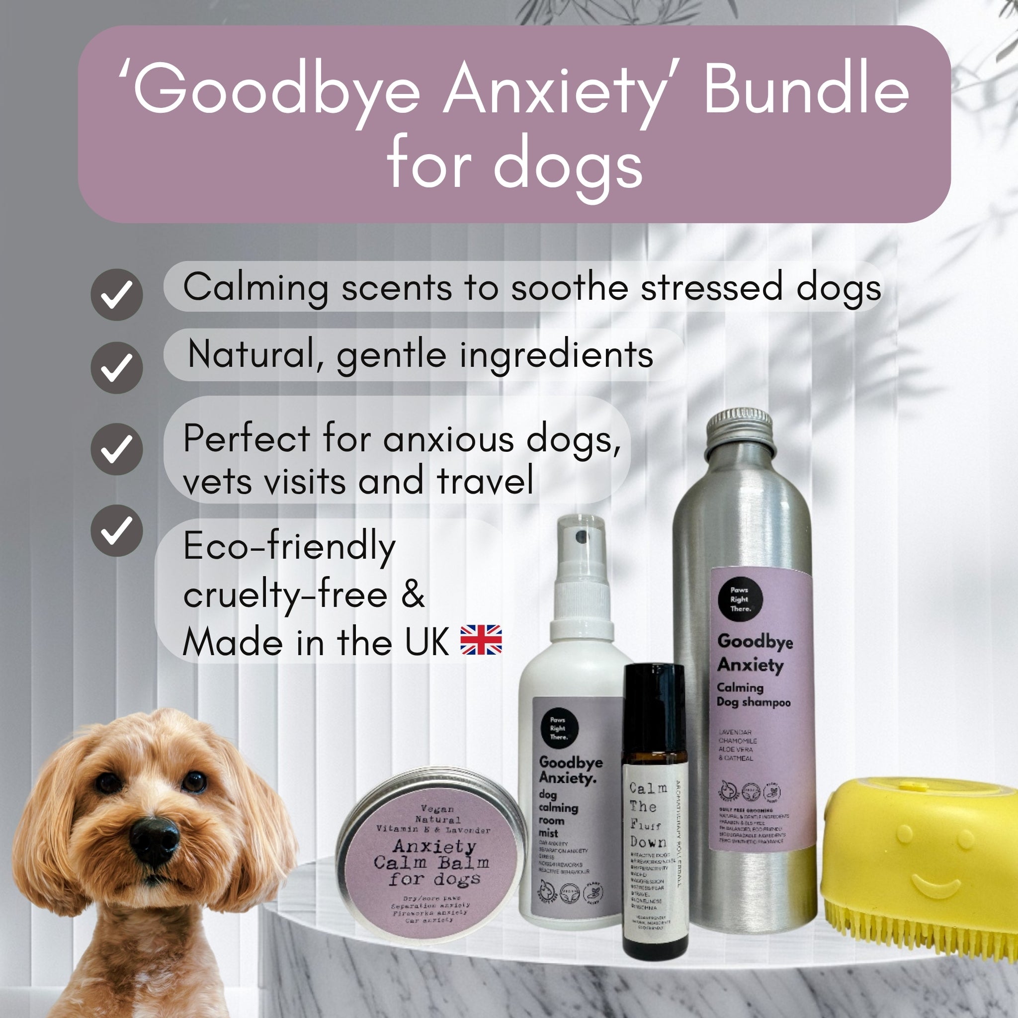 Anxiety bundle for dogs – Paws Right There