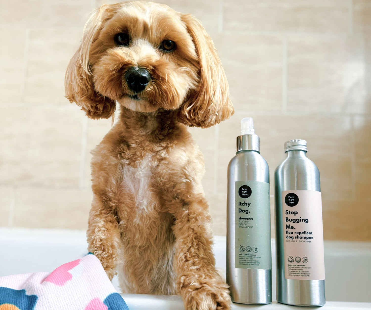Paw Balms for Dogs | Pet Friendly Candles | Paws Right There