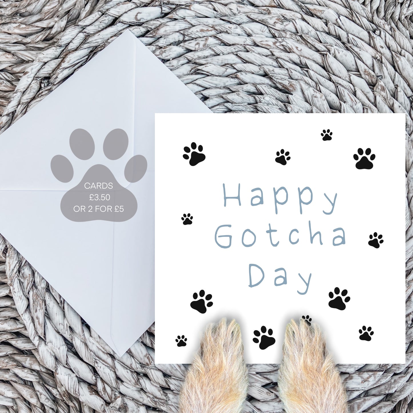 Happy gotcha day card in blue – Paws Right There